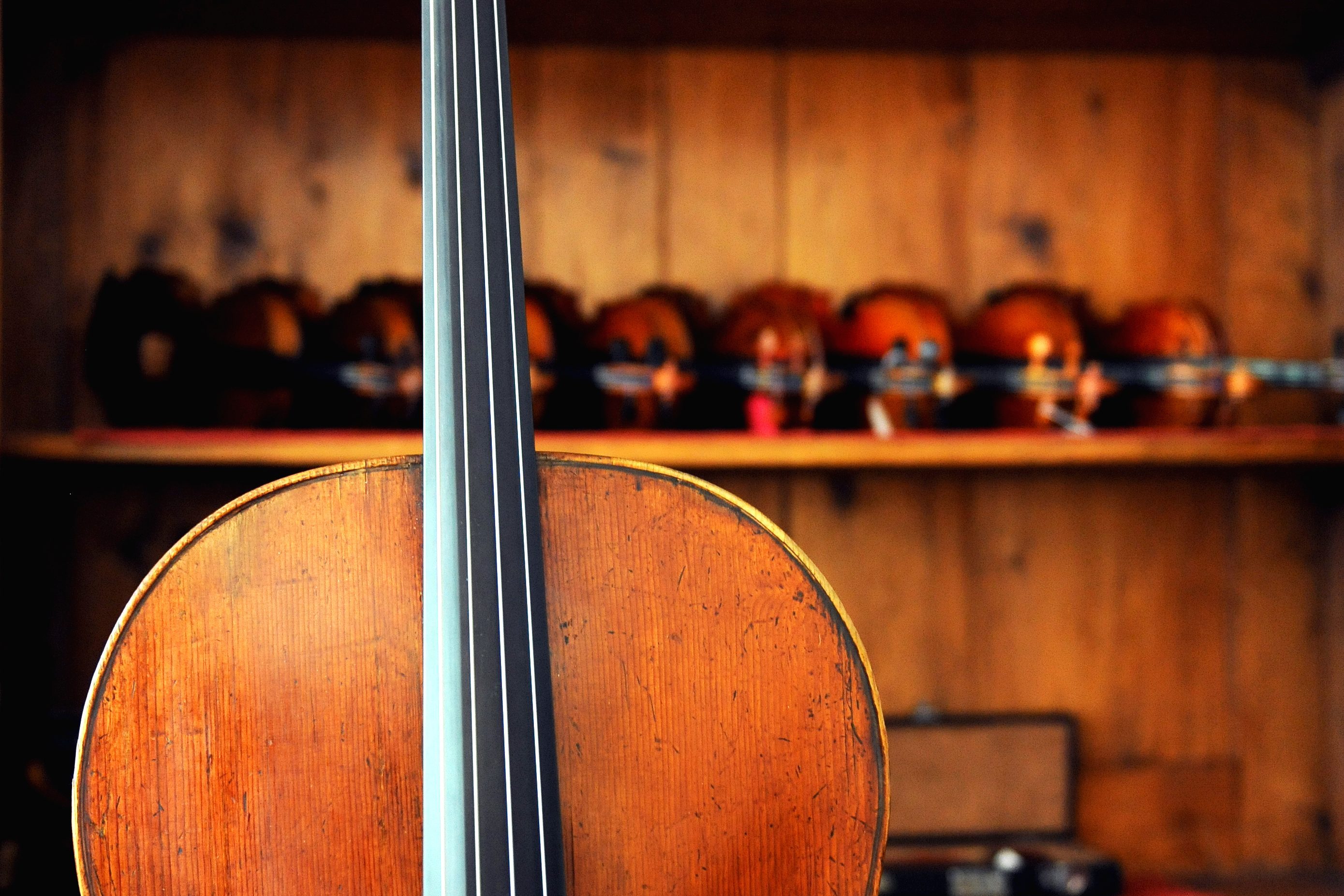 Beares Europe | Feine Streichinstrumente und Bögen